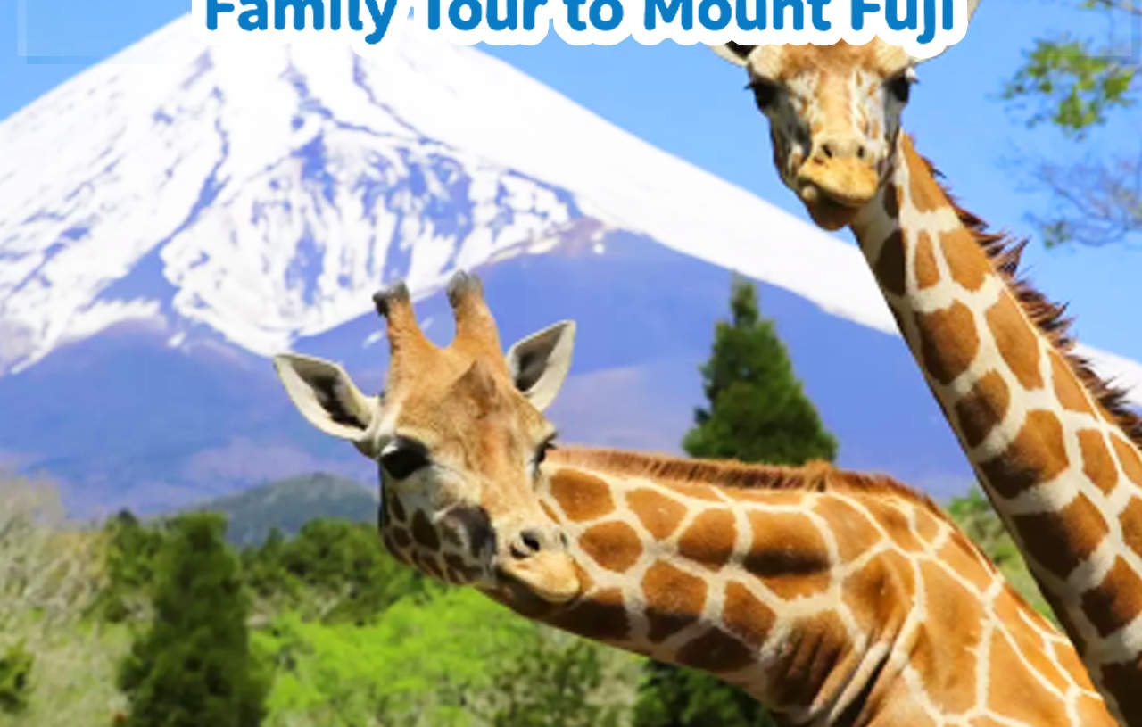 [Must-Do for Families] Fuji Safari Park × Oshino Hakkai × Oishi Park ...
